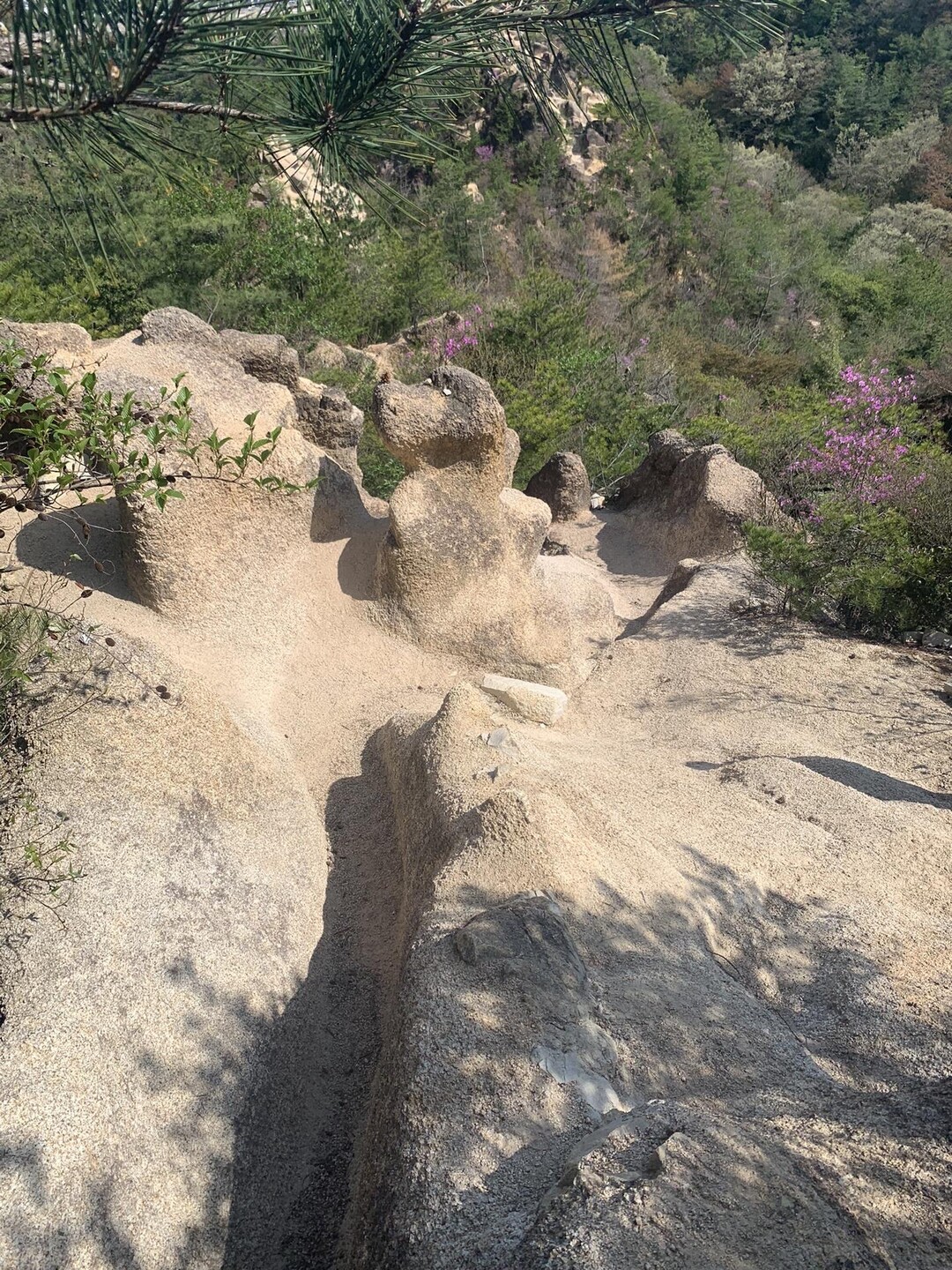ザレと変な岩との闘い！荒地山〜ピラーロック〜地獄谷 / nyaomaskさんの六甲山・長峰山・摩耶山の活動データ | YAMAP / ヤマップ