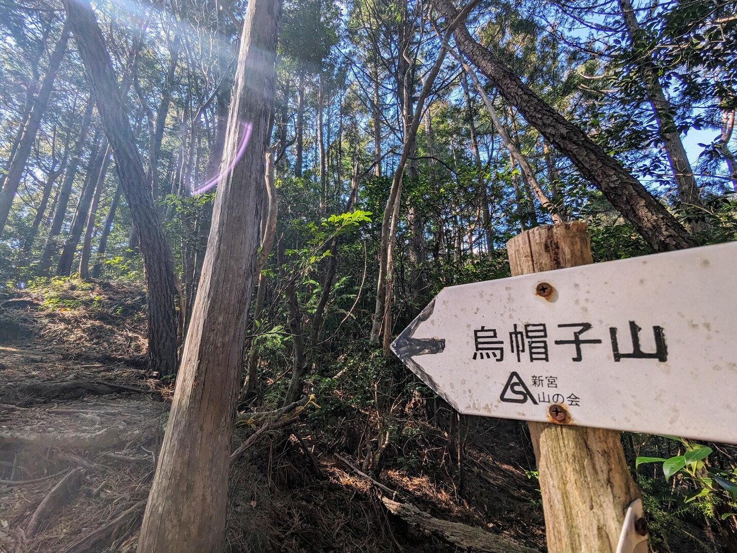 😀烏帽子山💦関西百名山#87・近畿百名山#73 / "satoh"さんの烏帽子山（那智山）の活動データ | YAMAP / ヤマップ