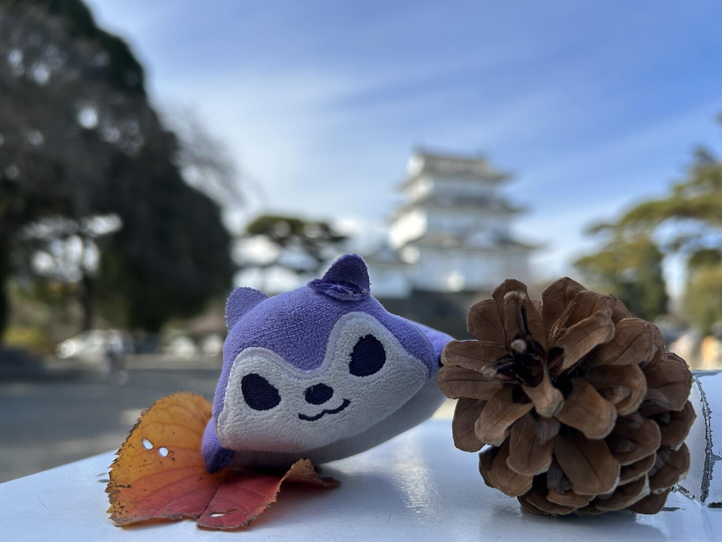 最後のももちゃん😢 いろんなところにお... / ayanonさんのモーメント | YAMAP / ヤマップ