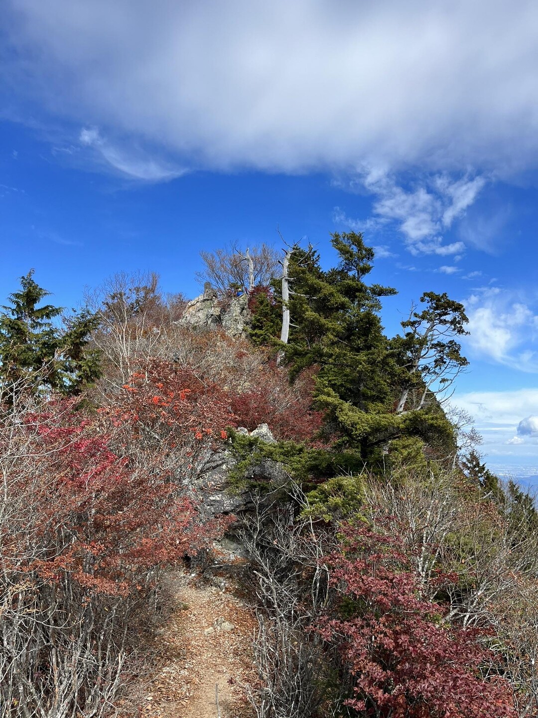 両神山 / TOMさんの両神山・諏訪山・二子山の活動データ | YAMAP / ヤマップ