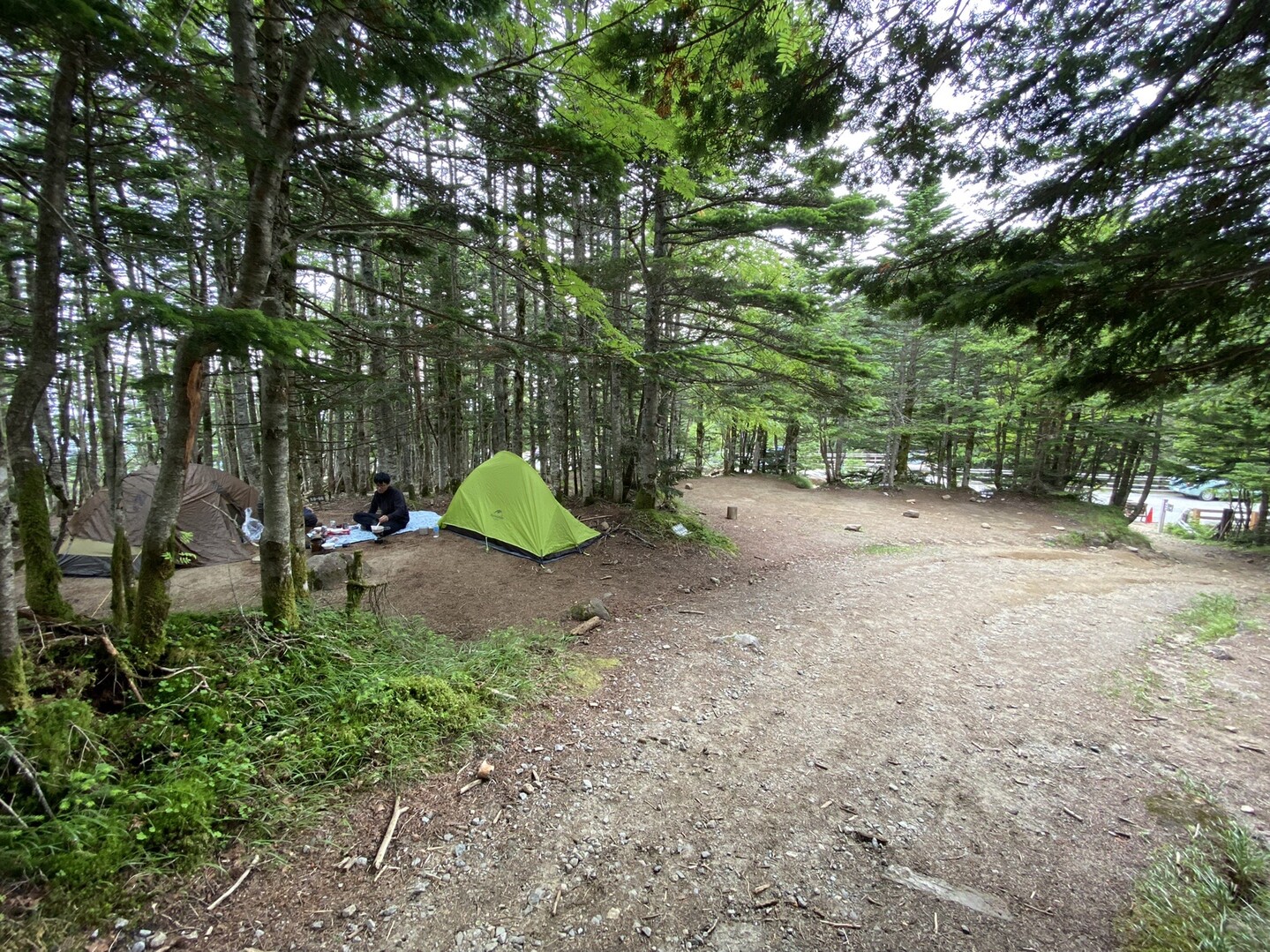 悠汰さんの投稿したフィールドメモ | YAMAP / ヤマップ