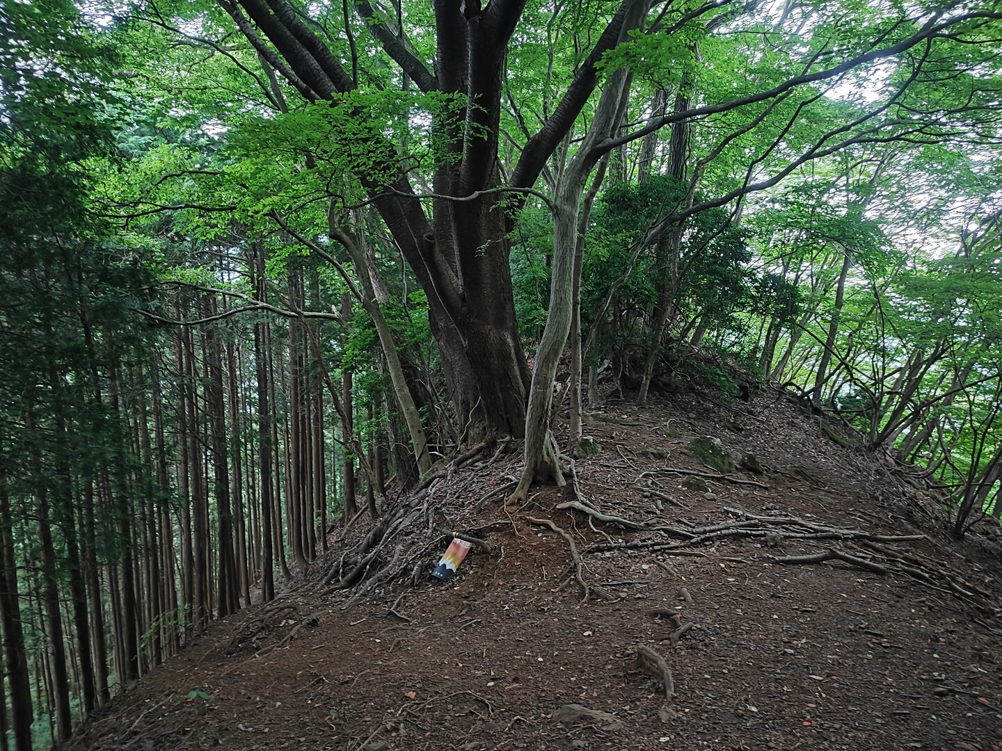 Goさんの投稿したフィールドメモ | YAMAP / ヤマップ