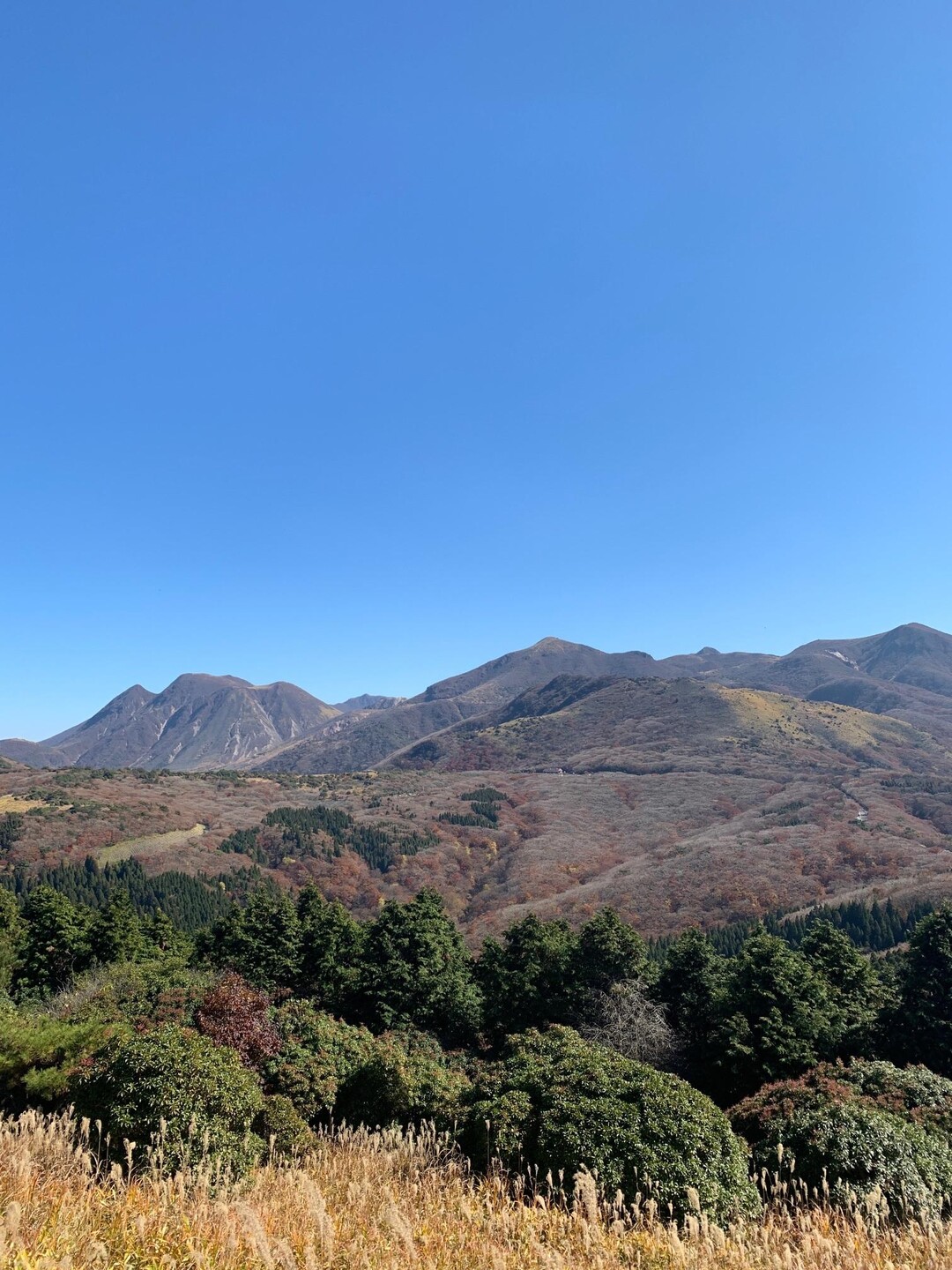合頭山 / Yu_Yaさんの九重山（久住山）・大船山・星生山の活動データ | YAMAP / ヤマップ
