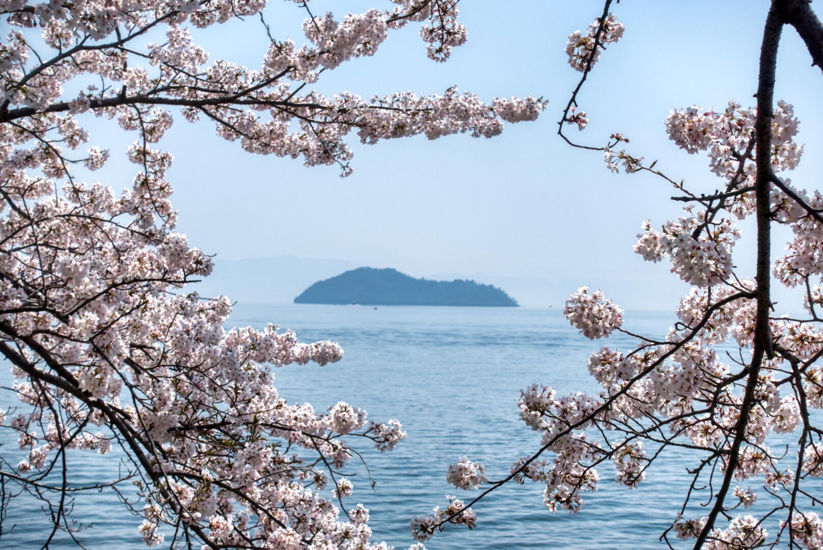 いつもお世話になっています。引き続き、カ... / persさんのモーメント | YAMAP / ヤマップ