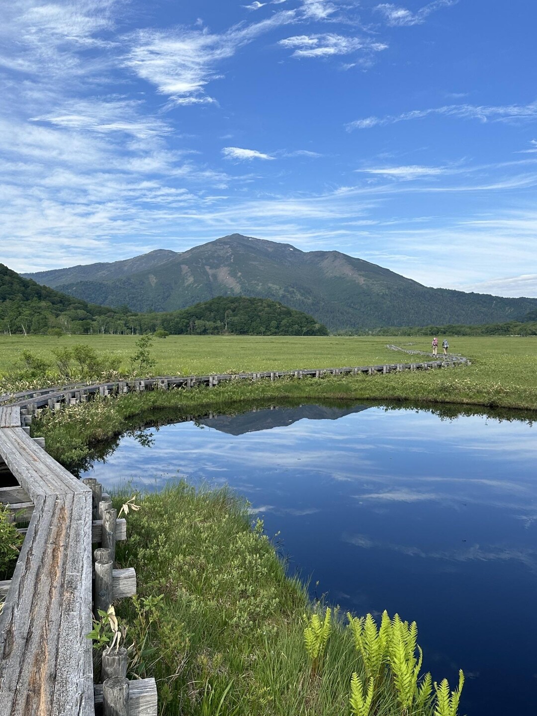 尾瀬・燧ヶ岳-2024-06-15 / YoHeyさんの尾瀬・燧ヶ岳の活動データ | YAMAP / ヤマップ