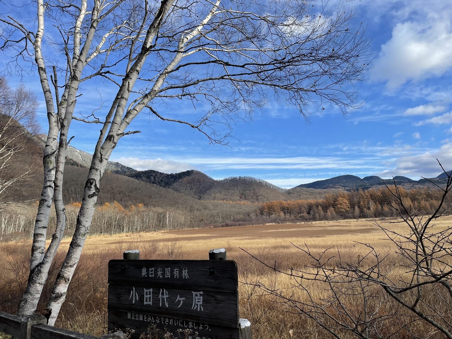 2022.11.5 栃木県日光市 中... / sakuraさんのモーメント | YAMAP / ヤマップ