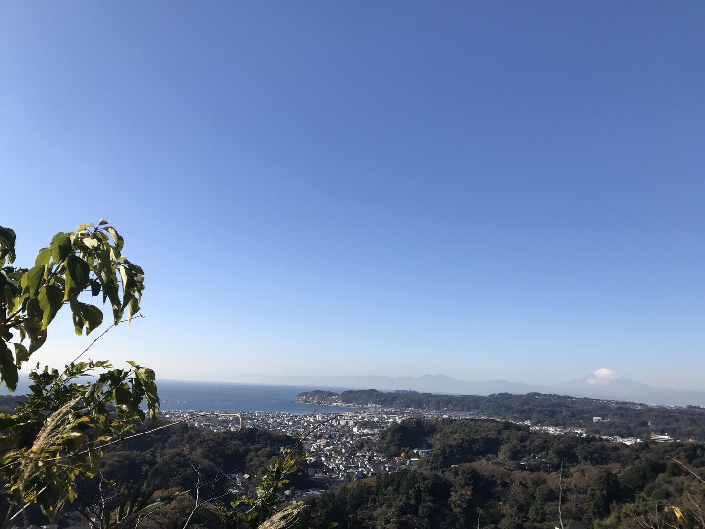 衣張山ハイク / ktmlさんの鎌倉アルプス（大平山・天台山）の活動データ | YAMAP / ヤマップ