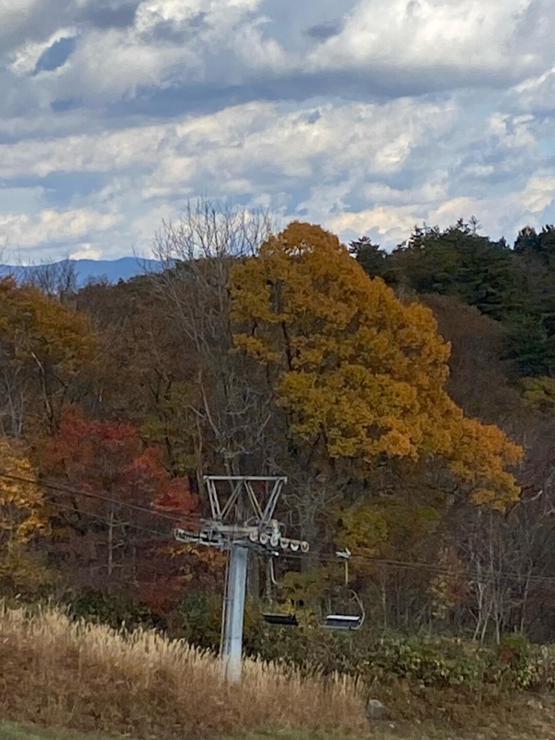 大日ヶ岳 山頂は白 山麓はカラフル / tamakoyさんの大日ヶ岳・毘沙門岳の活動データ | YAMAP / ヤマップ