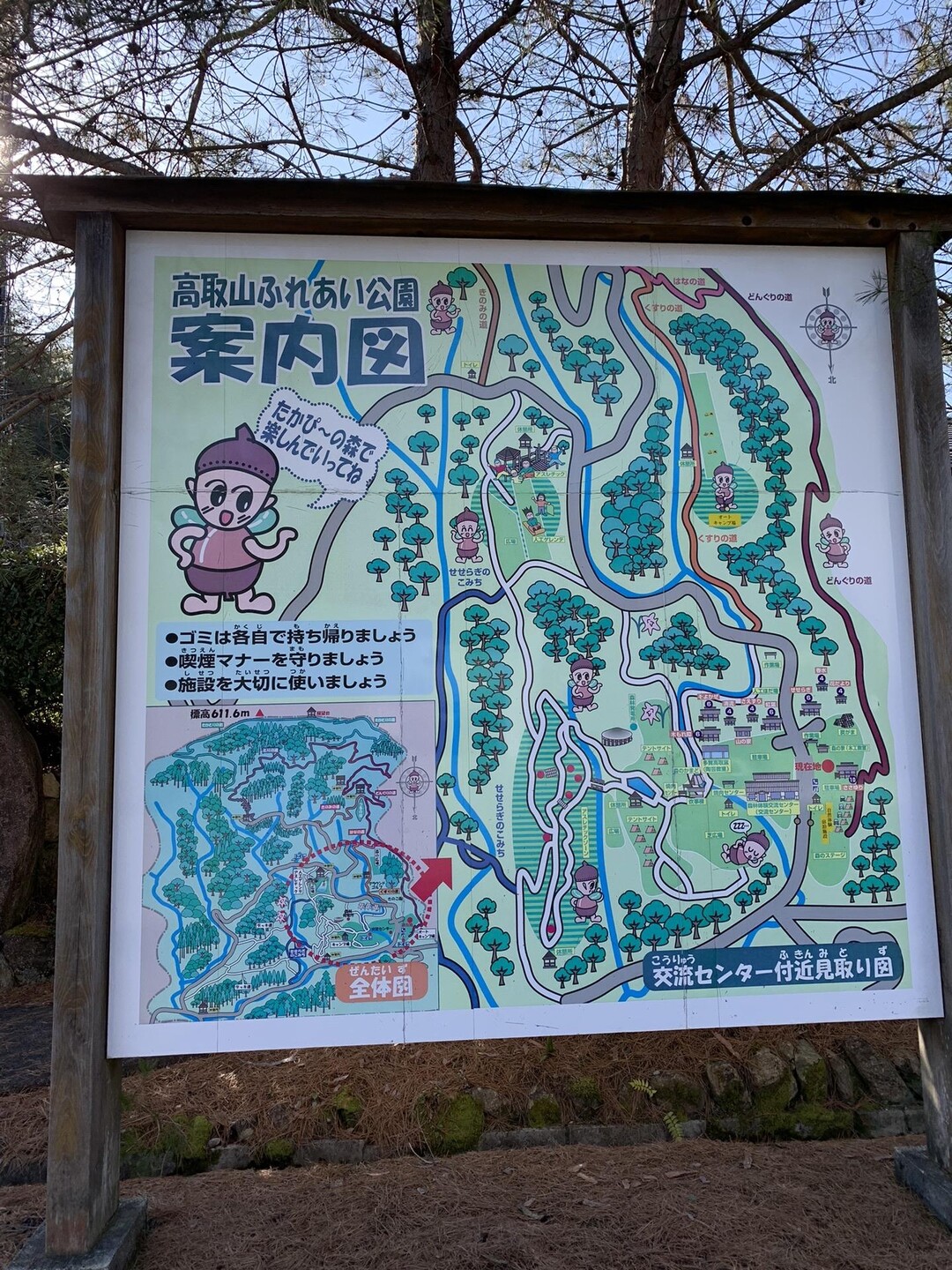 高取山 / kaakoさんの八ツ尾山・高取山・正楽寺山の活動データ | YAMAP / ヤマップ