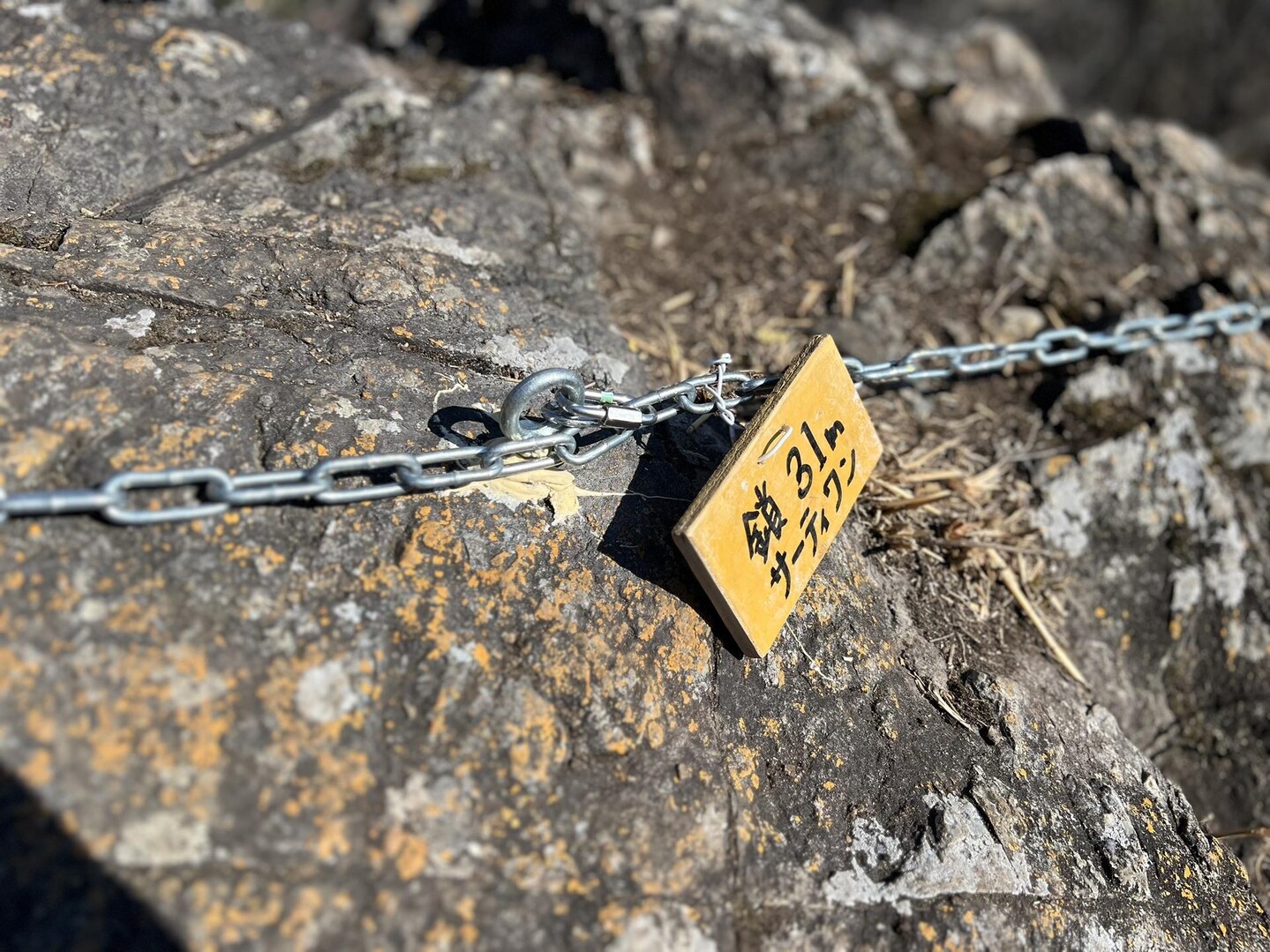 15回目のYAMAP！2024年初の地元足利アルプス！ / TAKU-LOWさんの両崖山・仙人ヶ岳・石尊山の活動データ | YAMAP / ヤマップ