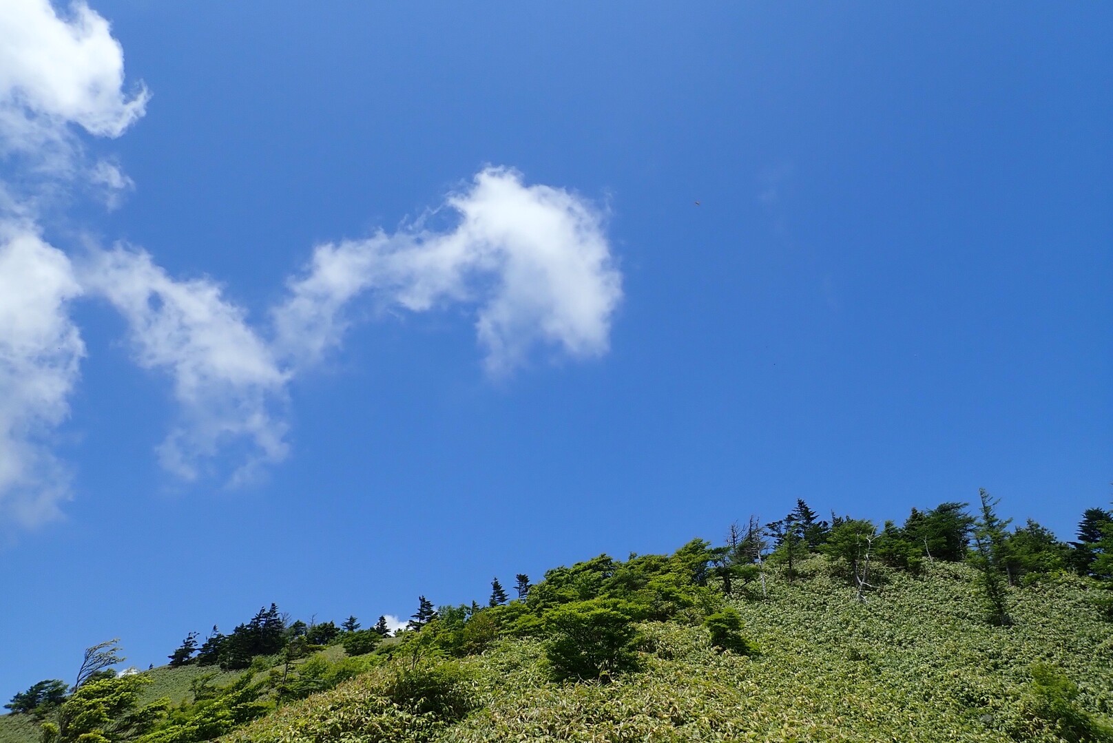 横岳・大川入山 / rey_seroさんの大川入山・横岳の活動データ | YAMAP / ヤマップ