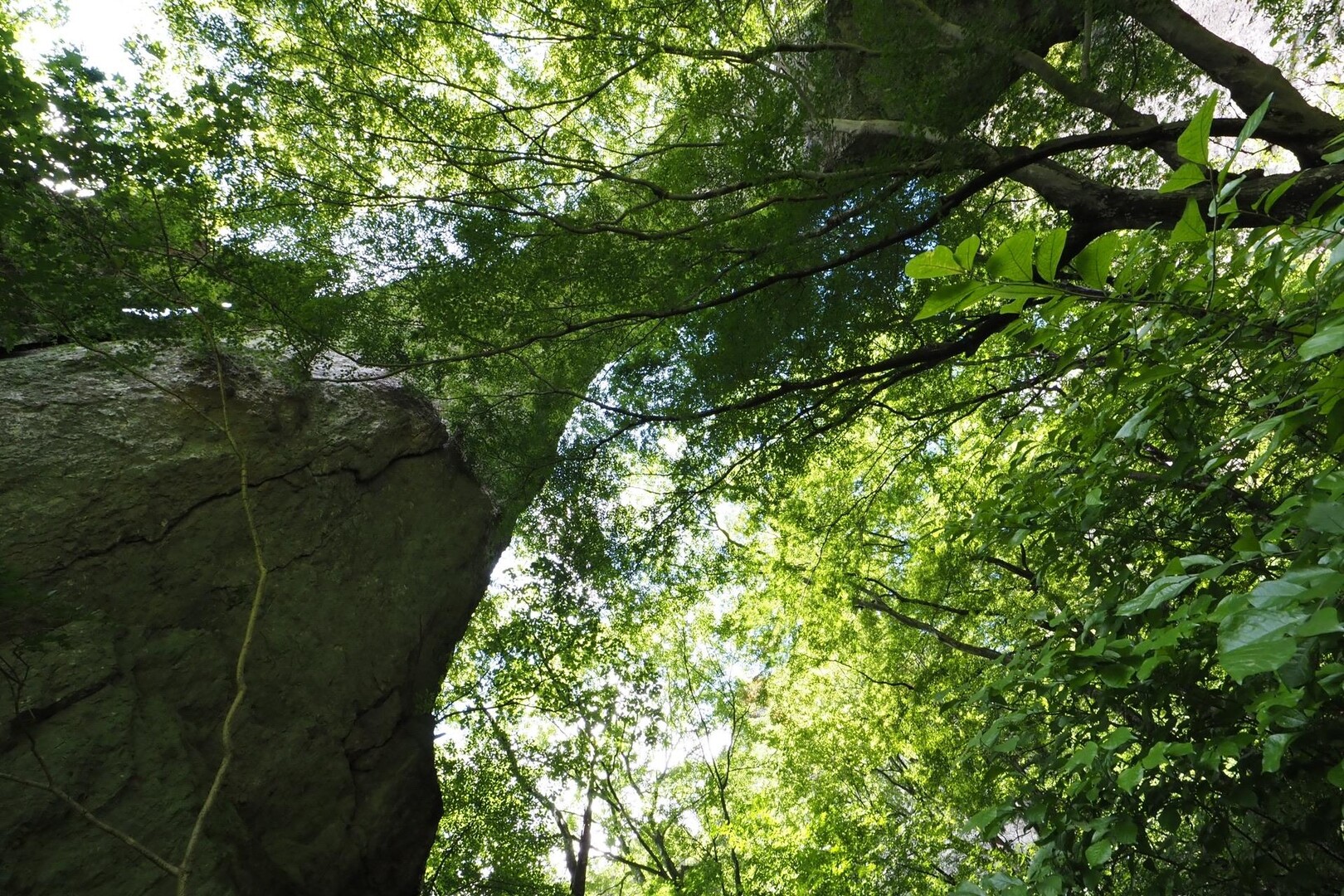 妙義山石門巡りへ / mi-papaさんの妙義山・天狗岳・相馬岳の活動データ | YAMAP / ヤマップ
