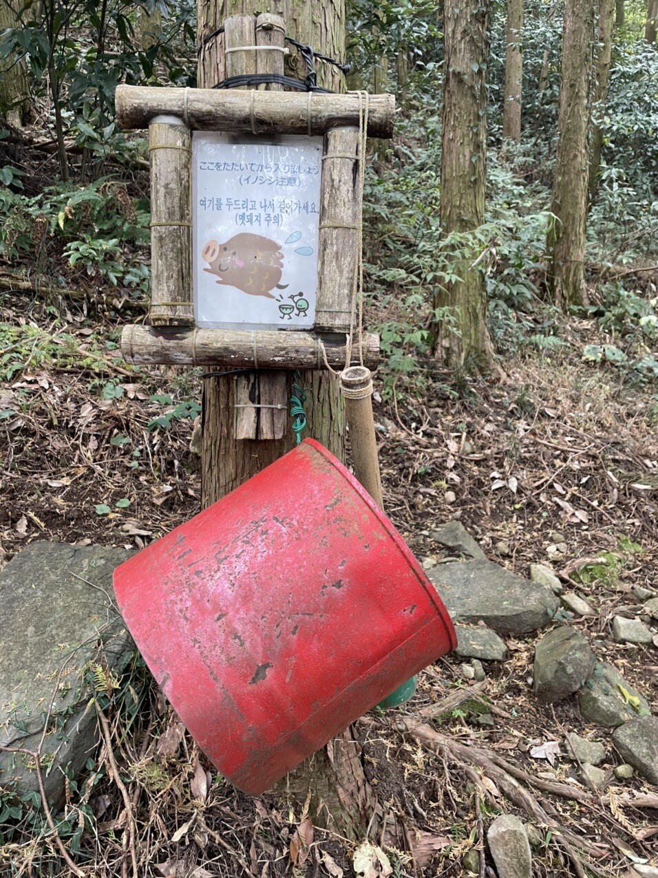 九州オルレ・嬉野コース-2021-11-24 / JBT会員番号5さんの九州オルレ・嬉野コースの活動データ | YAMAP / ヤマップ