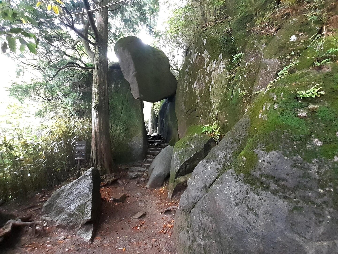 筑波山（女体山）・筑波山（男体山） / hi-m007.さんの筑波山の活動データ | YAMAP / ヤマップ