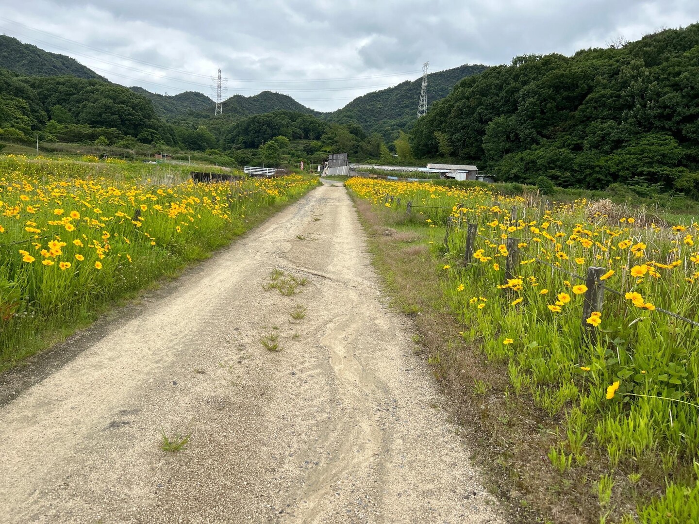 剣山・天目山・貝殻山・三頂山・八丈岩山 / CONAさんの貝殻山・剣山・八丈岩山の活動データ | YAMAP / ヤマップ