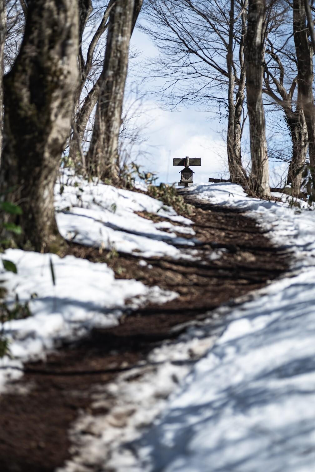 風花が舞う / Ymdさんの雨巻山・足尾山・三登谷山・高舘山の活動データ | YAMAP / ヤマップ