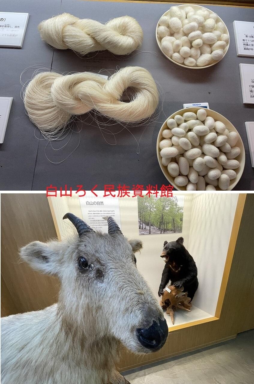 白山手取川ジオパーク「白山ろく民俗資料館... / Denaliさんのモーメント | YAMAP / ヤマップ