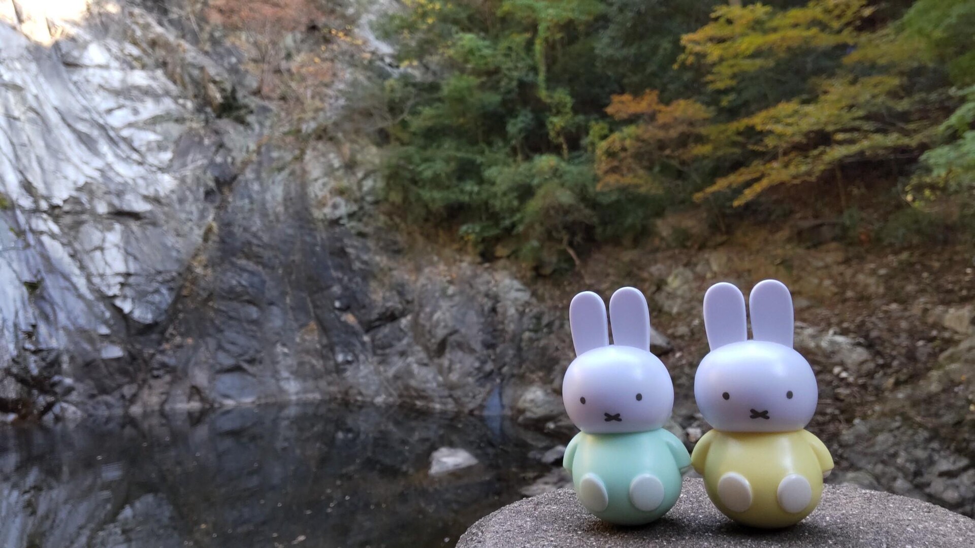 六甲山・長峰山・摩耶山-2022-11-16 / aaakkkさんの六甲山・長峰山・摩耶山の活動データ | YAMAP / ヤマップ