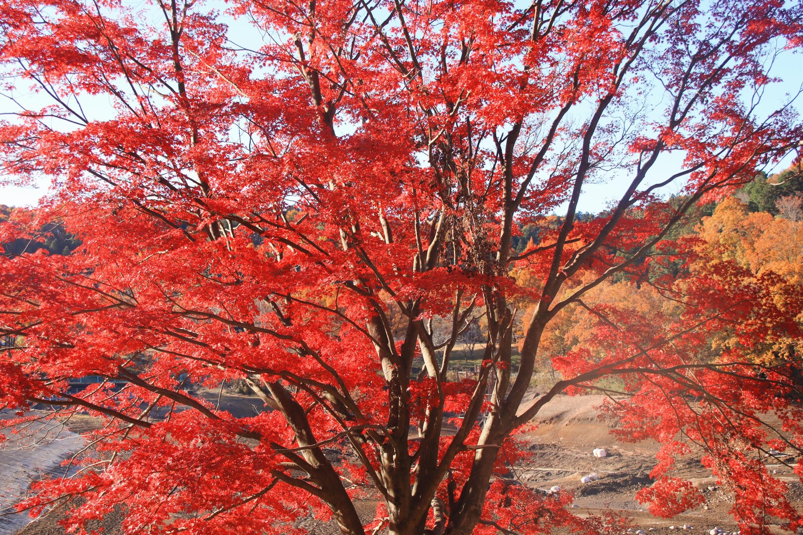 古賀志山🍁もみじ谷を歩く / t-yanさんの古賀志山・赤岩山・鞍掛山・男抱山・半蔵山の活動データ | YAMAP / ヤマップ