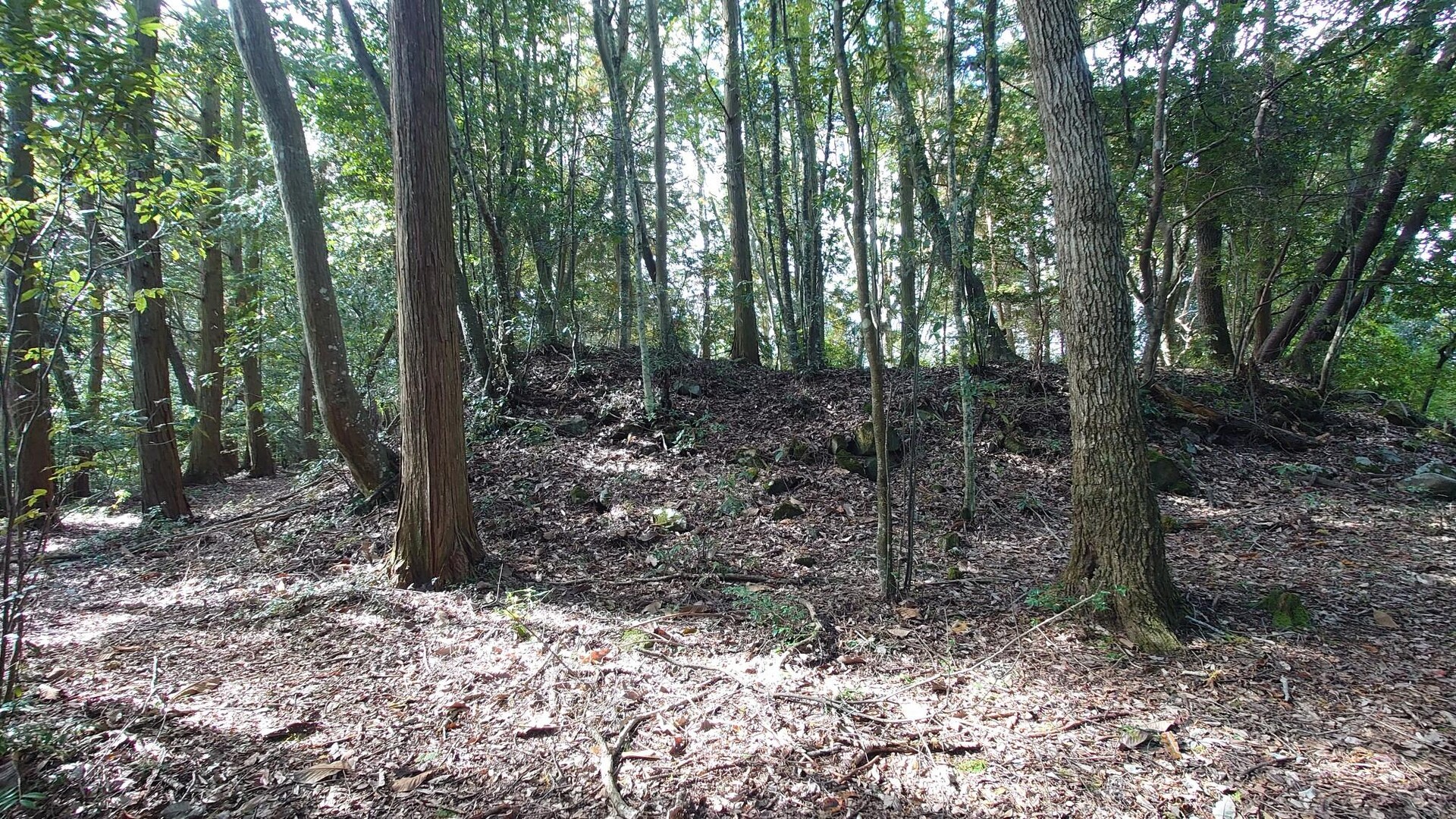 blackmoreさんの投稿したフィールドメモ | YAMAP / ヤマップ