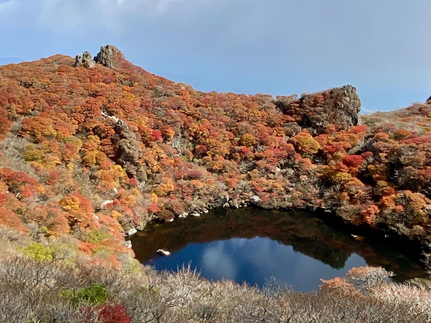 真っ赤なくじゅう🍁〜大船山・北大船山〜 / Manamiさんの九重山（久住山）・大船山・星生山の活動データ | YAMAP / ヤマップ