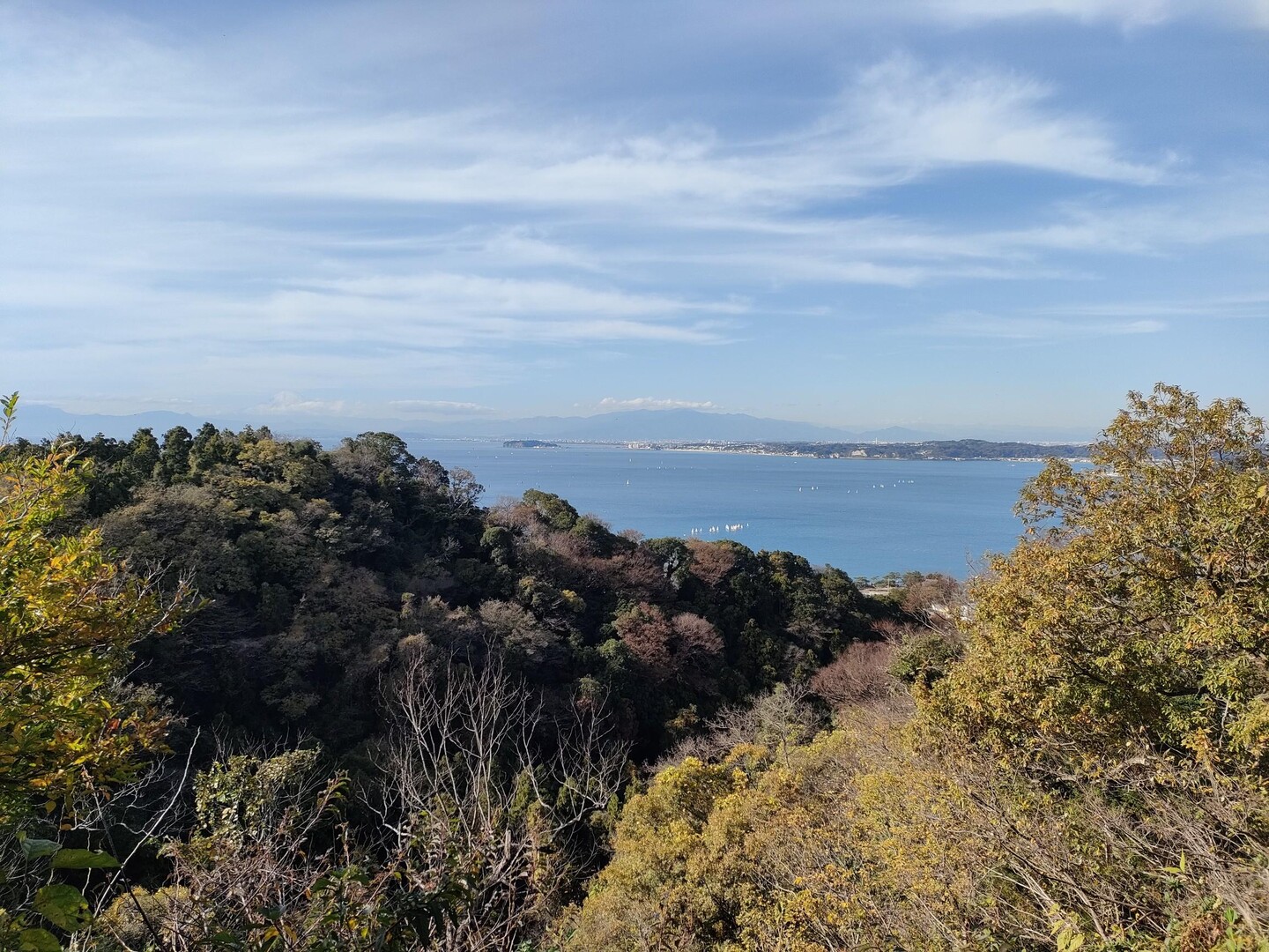 仙元山100マイル 一周コース / とうしょうぐんさんのMIURA BIKE&HIKE ADVENTUREの活動データ | YAMAP / ヤマップ