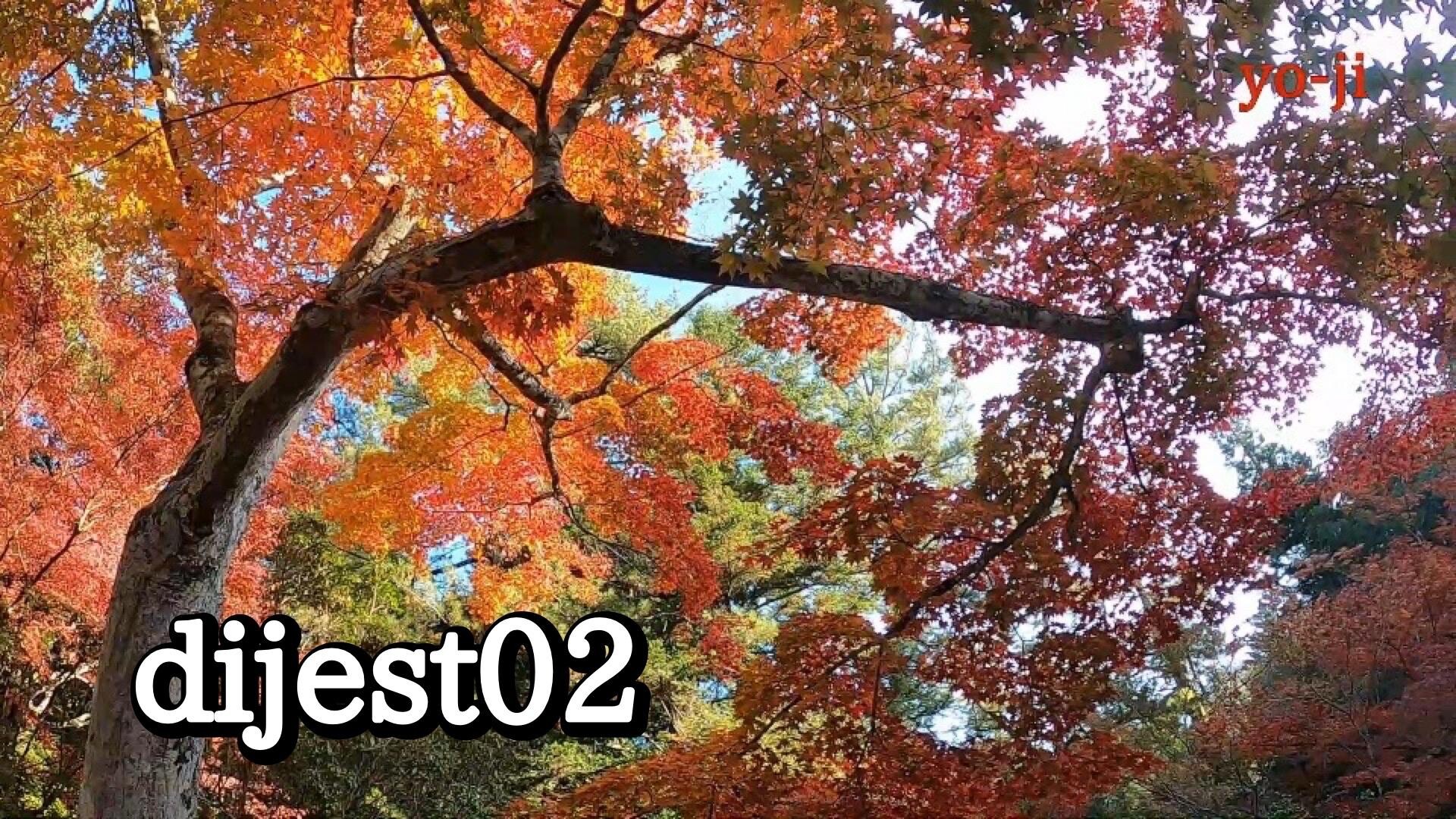 登山ダイジェスト動画をアップ。 登山ダ... / yo-jiさんのモーメント | YAMAP / ヤマップ