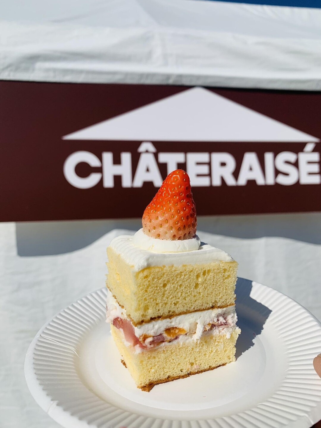 2023 SWEETS MARATHON in ふえふきシャトレーゼ スイーツマラソン / piropiro0927さんの要害山・兜山・大蔵経 ...