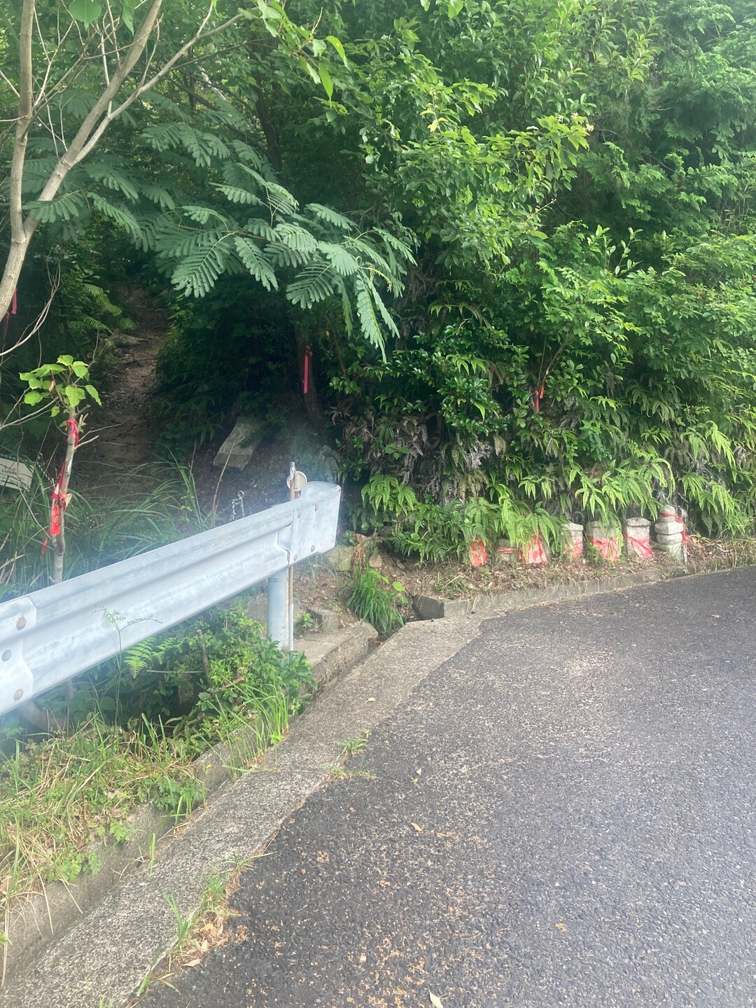 MJさんの投稿したフィールドメモ | YAMAP / ヤマップ