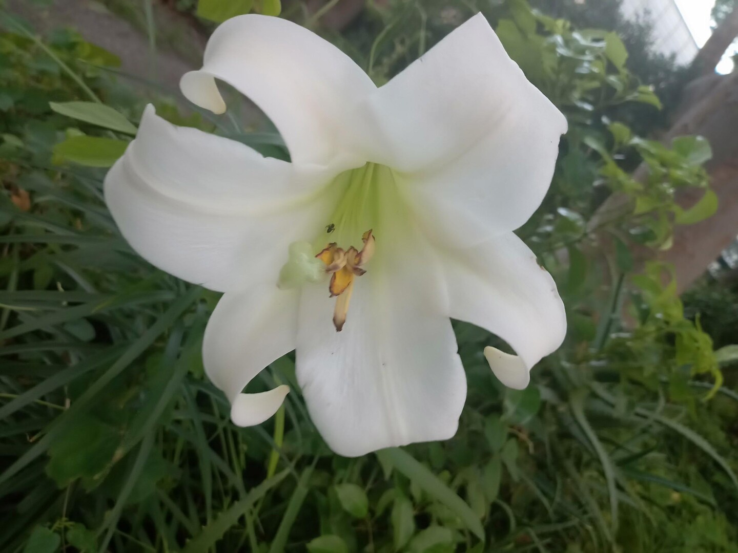 今朝は⛅CYCLING🚲雨上がりの涼し... / masasan🏃東京🗼仕事も遊びも本気です🌟さんのモーメント | YAMAP / ヤマップ