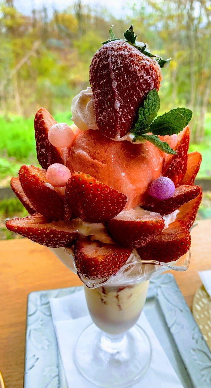 "桜林茶寮"さんのイチゴパフェ🍓苺🍓... / nepukoさんのモーメント | YAMAP / ヤマップ