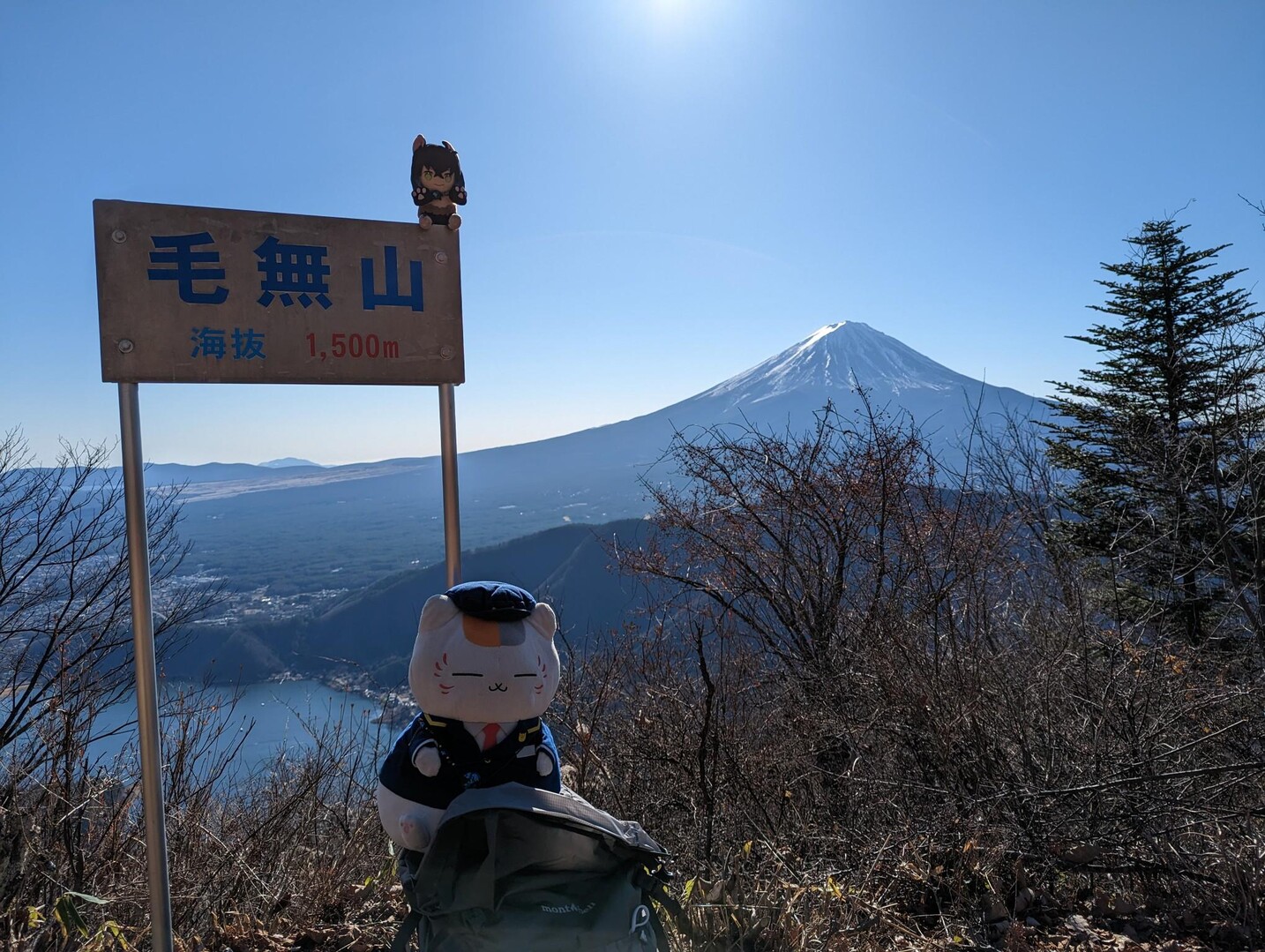 毛無山から十二ヶ岳へ / ニャンコ先生さんの節刀ヶ岳・破風山・足和田山の活動データ | YAMAP / ヤマップ