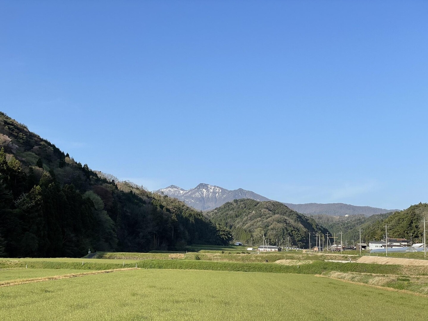 "Do you want a hand?" / kayobooさんのウォーキングの活動データ | YAMAP / ヤマップ