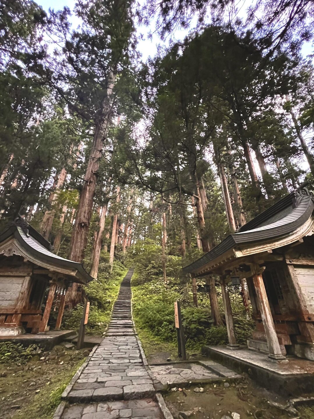 羽黒山 / yuzu_coさんの羽黒山の活動データ | YAMAP / ヤマップ