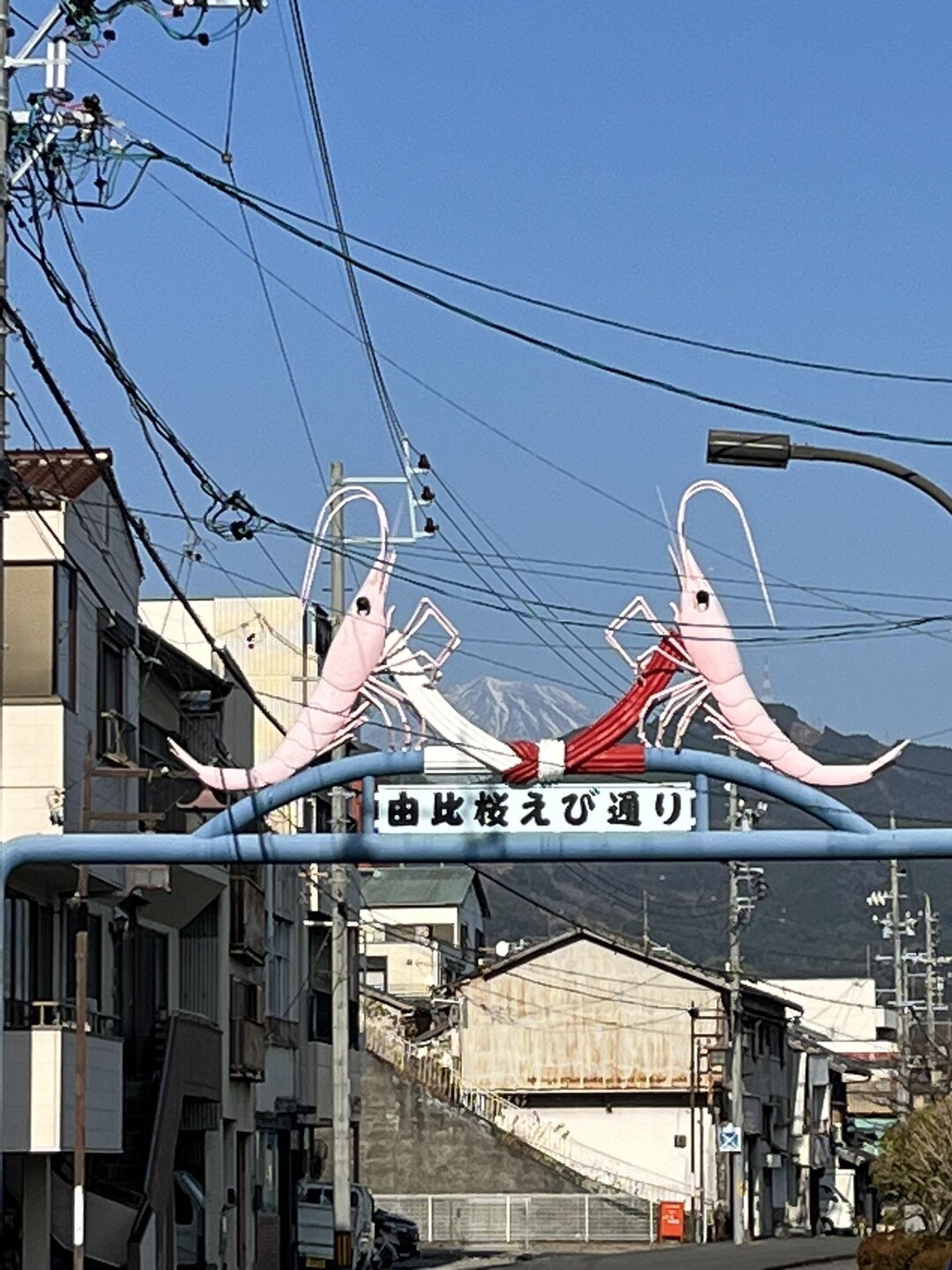 浜石岳 / konyan さんの薩埵峠（薩た峠・サッタ峠）・浜石岳の活動データ | YAMAP / ヤマップ