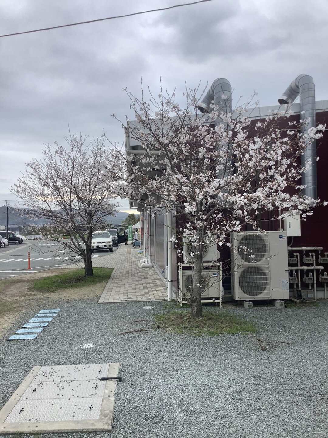 【改悪_JR九州ウォーキング-第007弾】 in 瀬高 / gonta23octさんのウォーキングの活動データ | YAMAP / ヤマップ