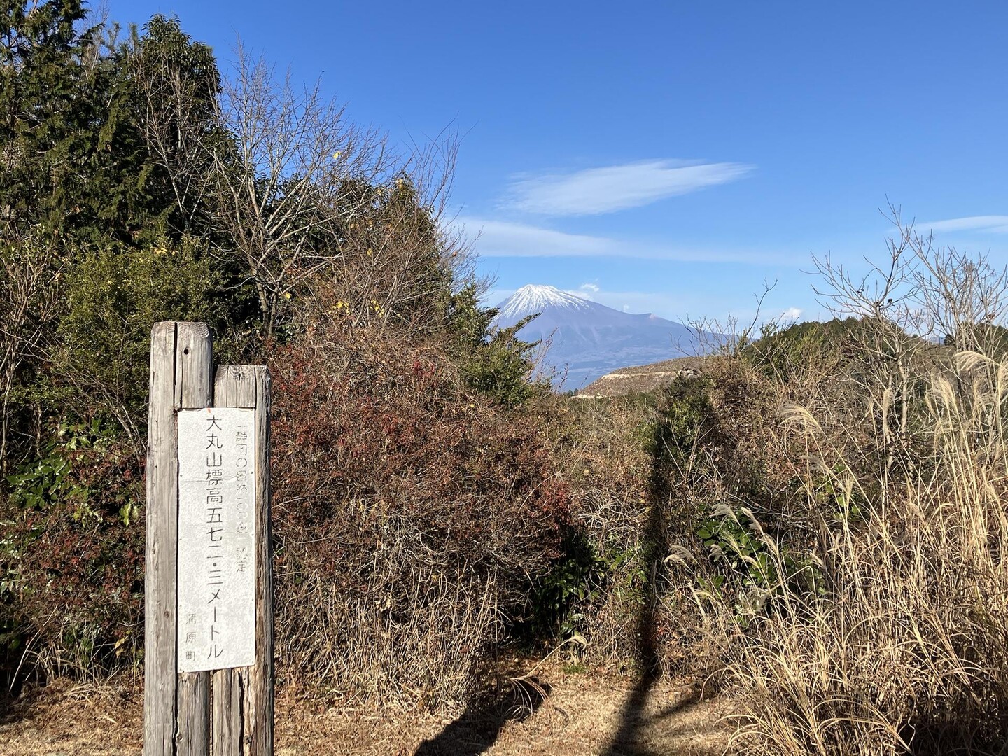 大丸山 / Fumi山さんの薩埵峠（薩た峠・サッタ峠）・浜石岳の活動データ | YAMAP / ヤマップ