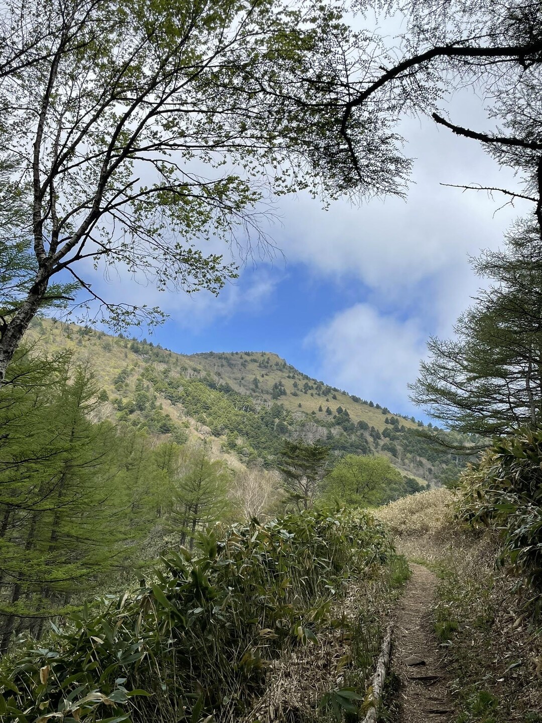 小烏帽子岳・烏帽子岳 / Vega-tanさんの湯ノ丸山・角間山・鍋蓋山の活動データ | YAMAP / ヤマップ