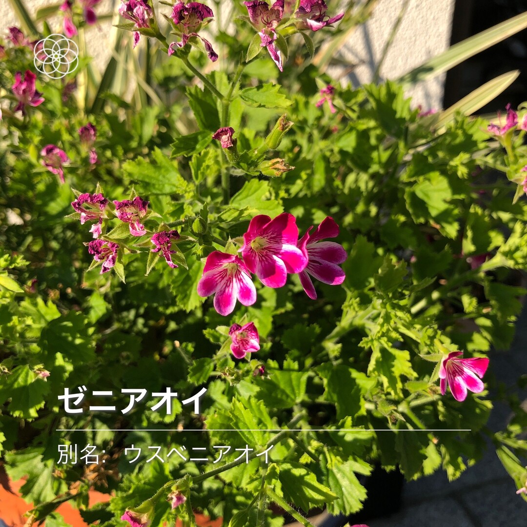 体力作り11日目 今日はサイクリング🚴... / 芝蛸さんのモーメント | YAMAP / ヤマップ