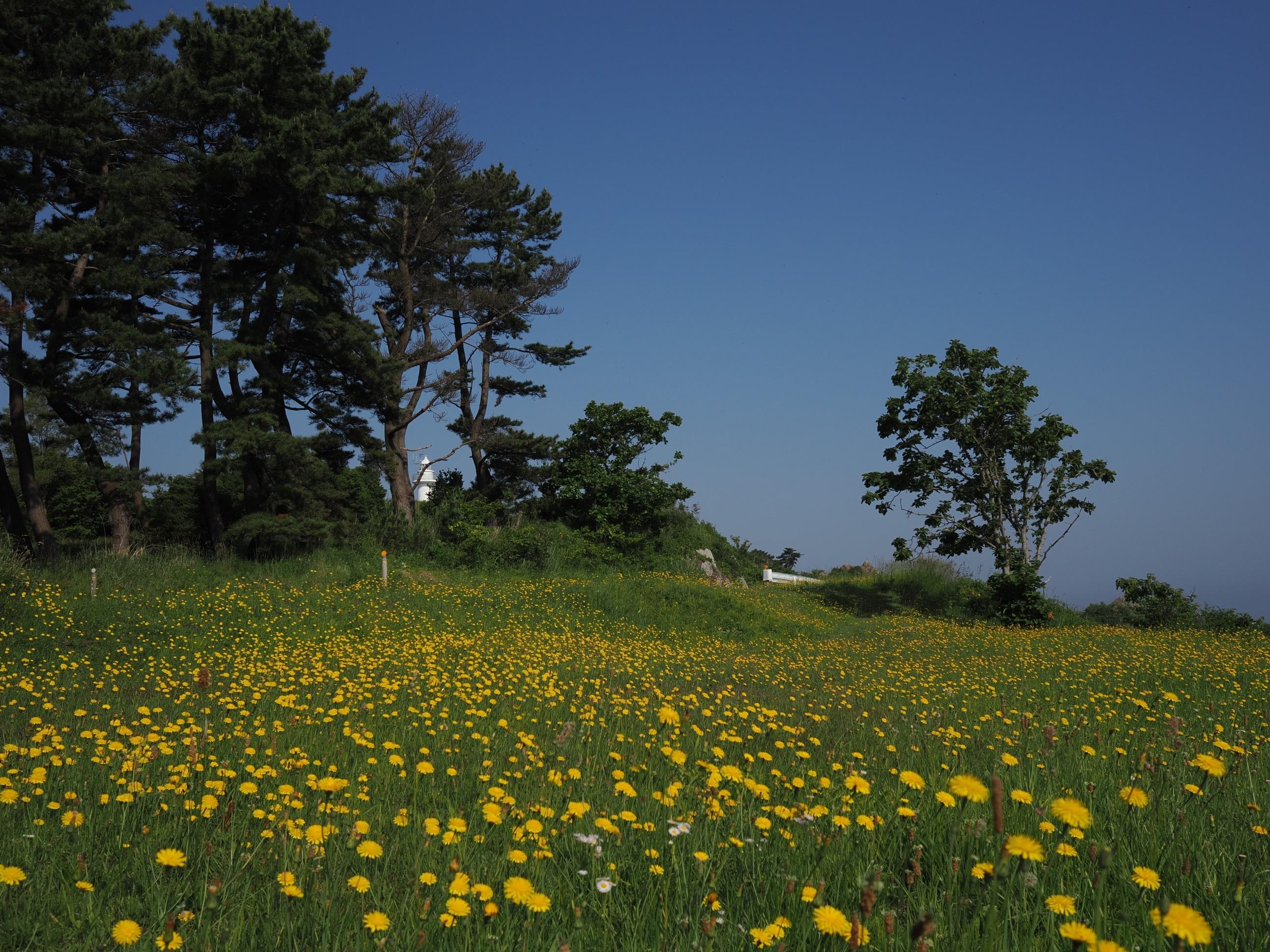 レンズの試し撮り M.zuiko dig... / 足知（アッシ？ですか）さんのモーメント | YAMAP / ヤマップ