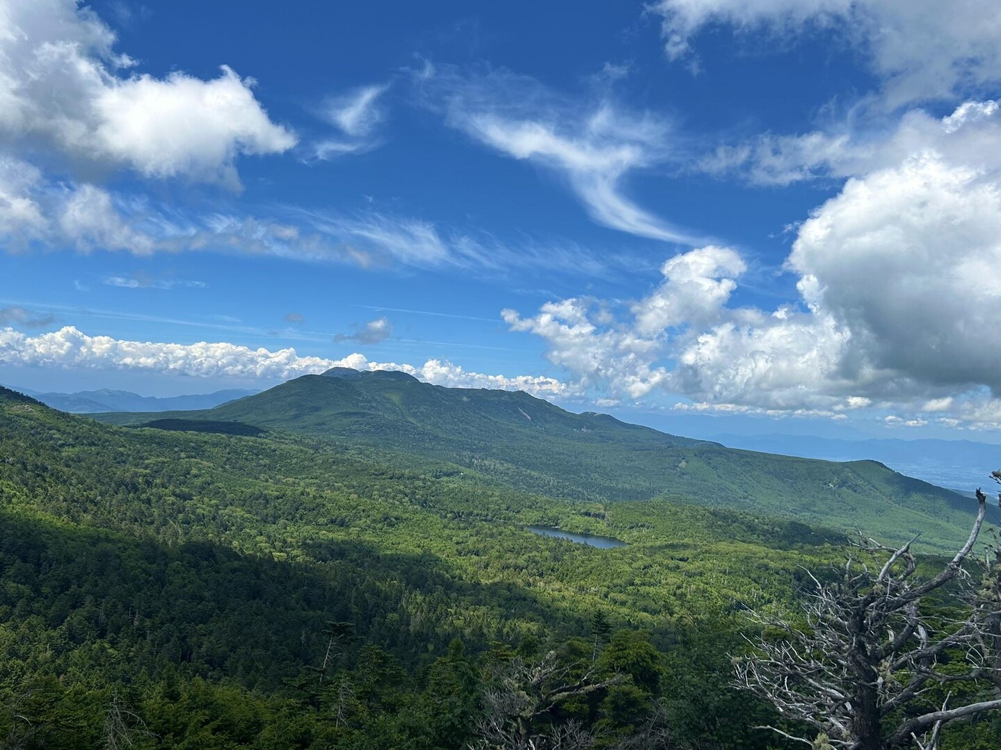 ニュウ・中山 / saoさんの蓼科山・横岳・縞枯山の活動データ | YAMAP / ヤマップ