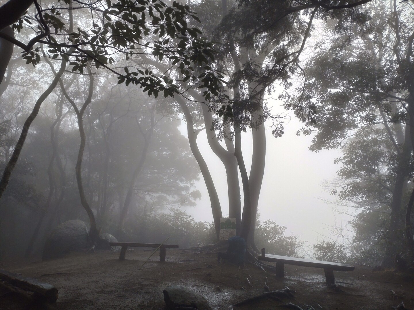 R4油山その4（雨の油山） / ジムランさんの油山・荒平山・片縄山の活動データ | YAMAP / ヤマップ