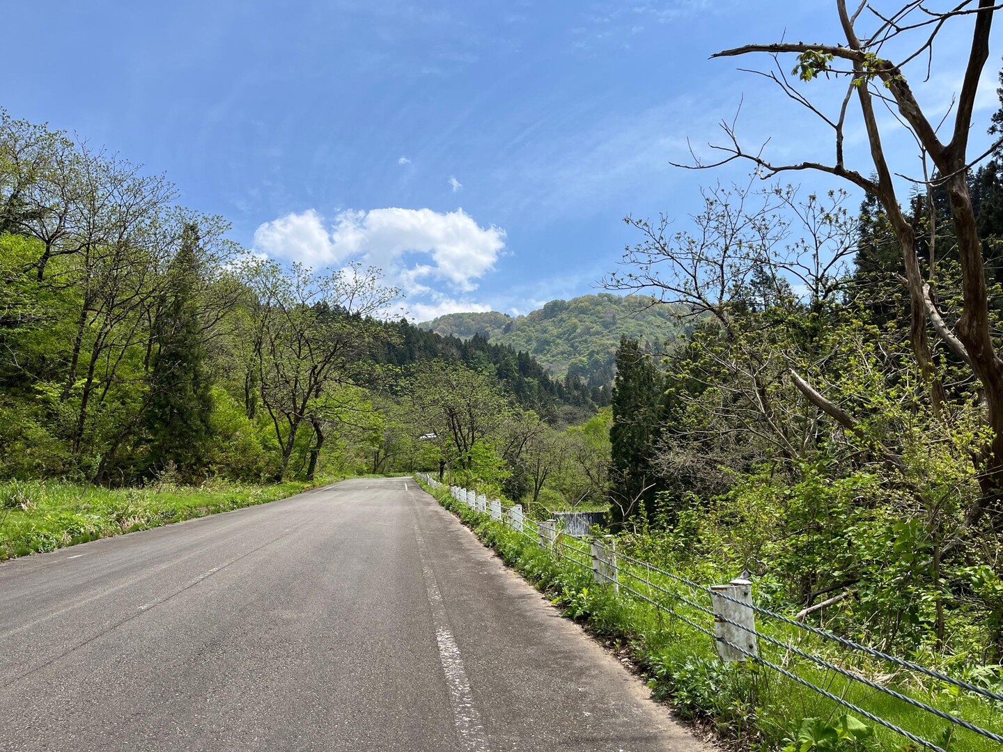 新緑の鋸山〜枡形山〜萱峠を周回 / tamu.kさんの鋸山・三ノ峠山・八方台の活動データ | YAMAP / ヤマップ