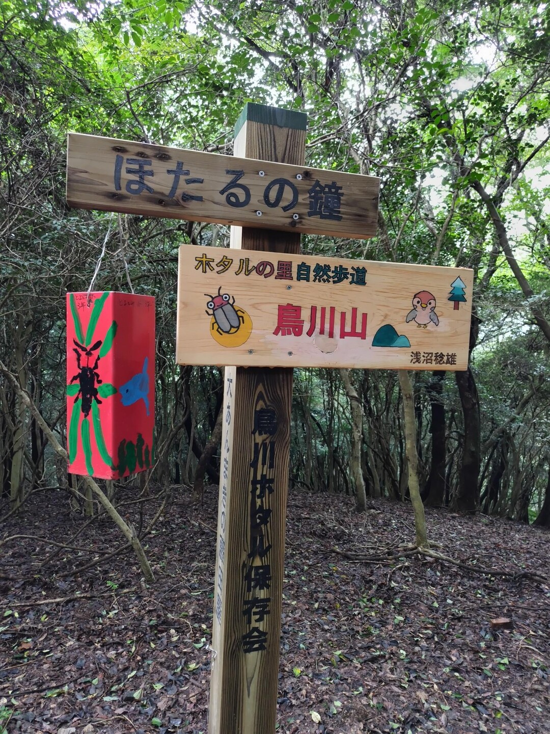 鳥川(とっかわ)アルプス39座 / ひさぼんさんの額堂山・水晶山・京ヶ峯の活動日記 | YAMAP / ヤマップ