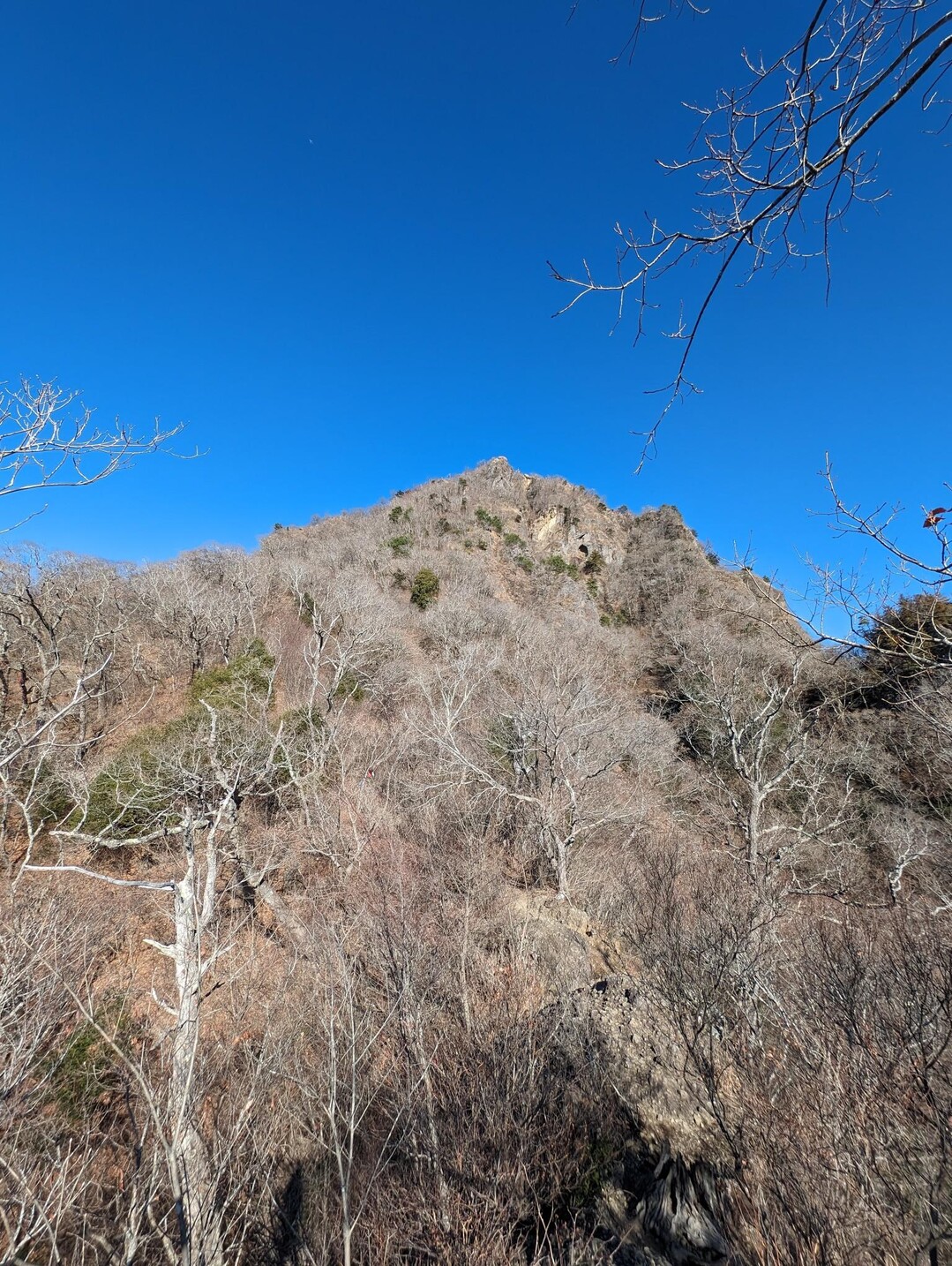 奥久慈男体山 / mz37さんの奥久慈男体山・月居山・篭岩（篭岩山）の活動データ | YAMAP / ヤマップ