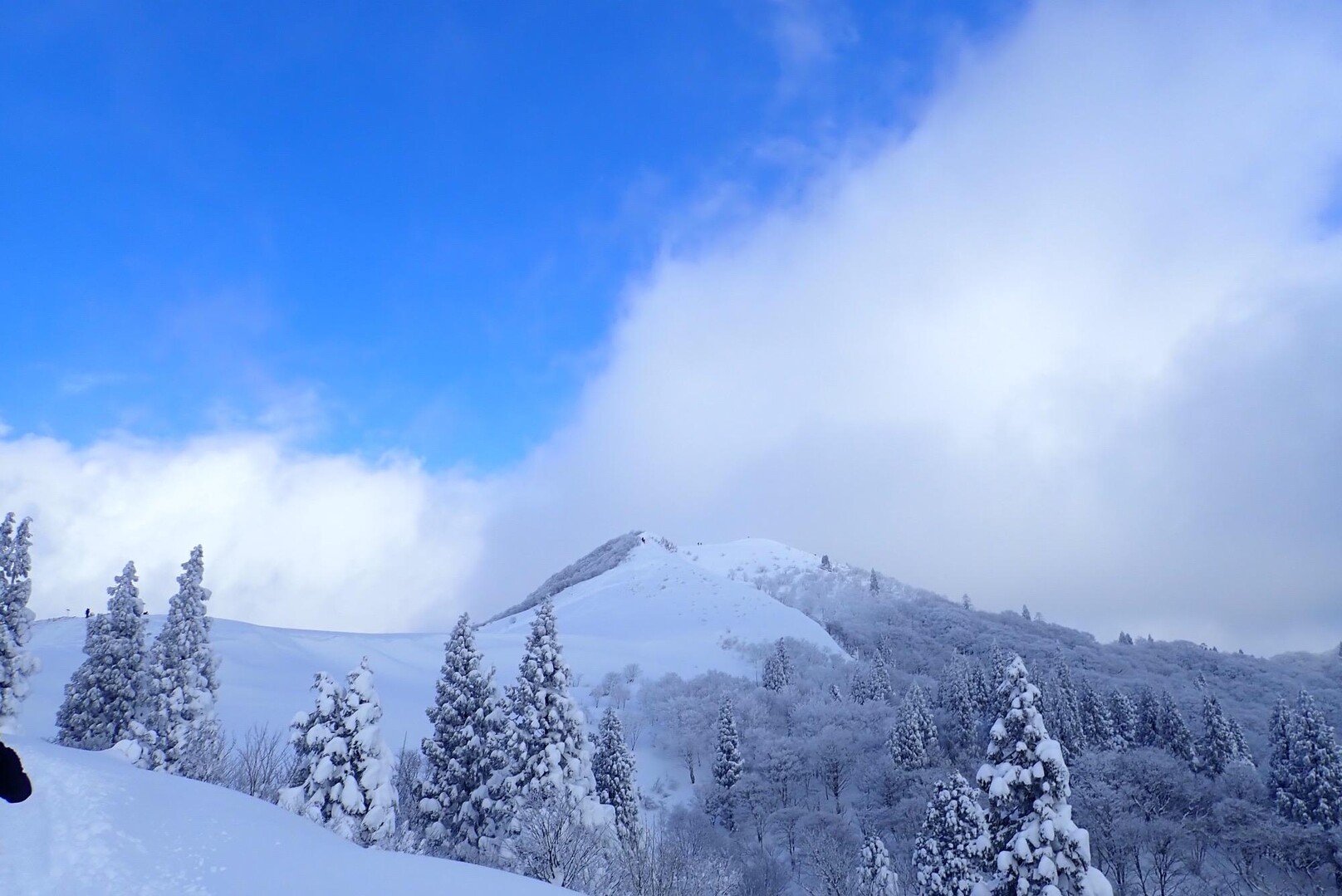 武奈ヶ岳・御殿山 / rey_seroさんの比良山地・武奈ヶ岳・釈迦岳の活動データ | YAMAP / ヤマップ