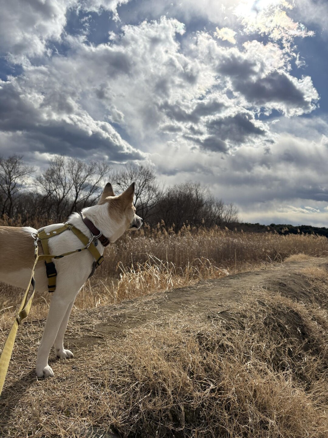 久しぶりに予定のない平日のお休み♪ 天気... / ユルネルさんのモーメント | YAMAP / ヤマップ