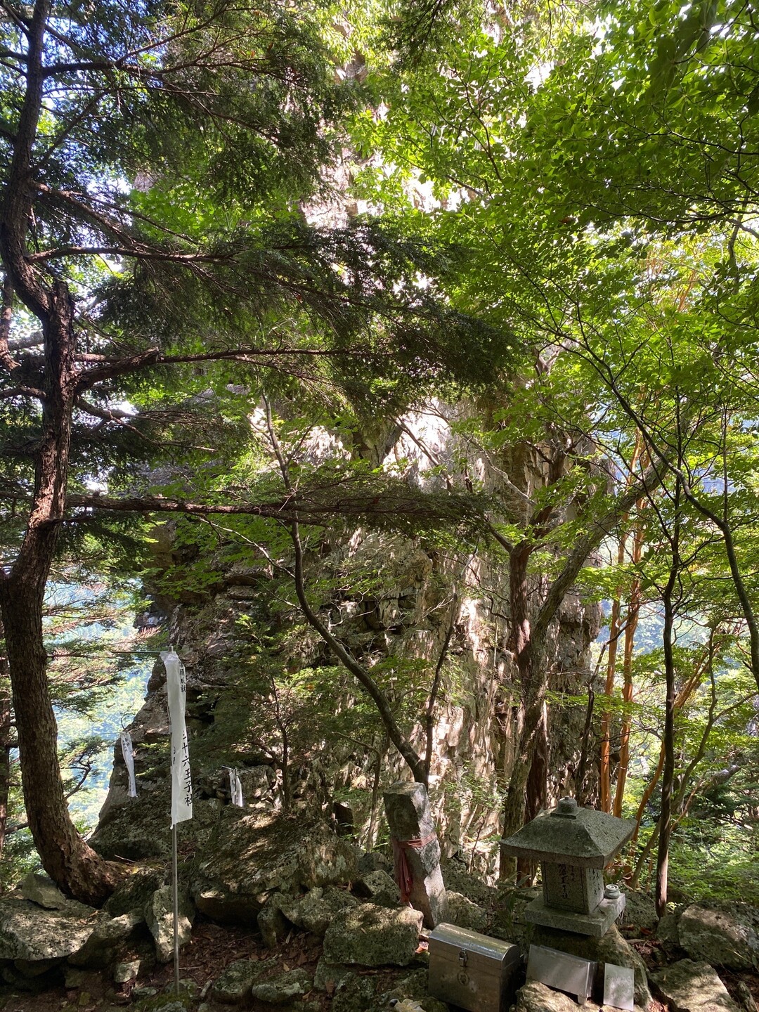 hassyさんの投稿したフィールドメモ | YAMAP / ヤマップ