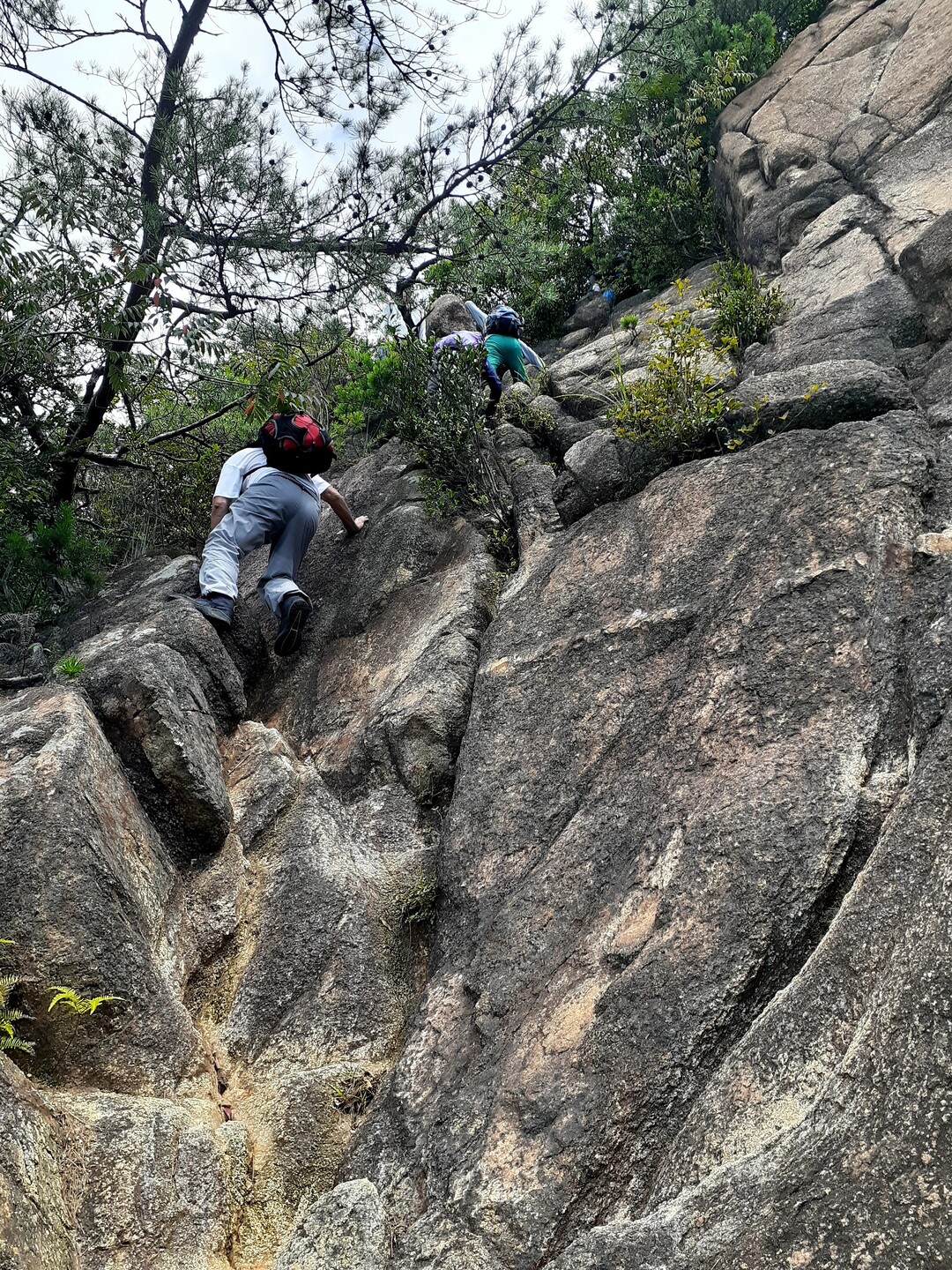 芦屋川～芦屋川の岩場の歩き / 姫ゆりさんのモーメント | YAMAP / ヤマップ