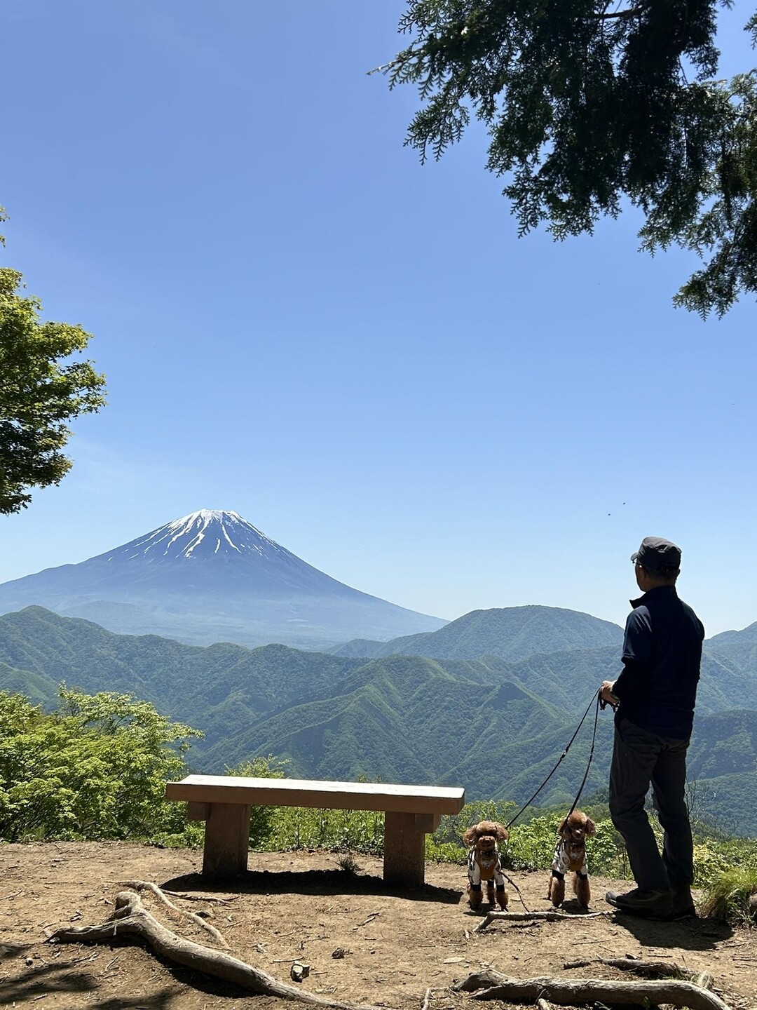 小高山・蛾ヶ岳・大畠山 / fuu-rinさんの蛾ヶ岳・大平山・釈迦ヶ岳の活動データ | YAMAP / ヤマップ